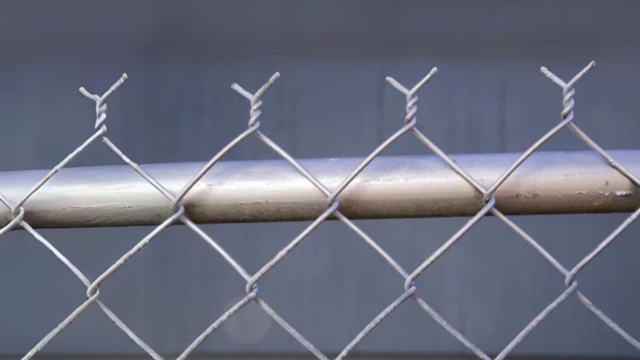 Unraveling the Benefits of Twisted Wire Fencing: A Complete Guide ...