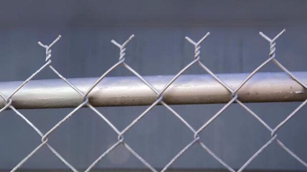 Unraveling the Benefits of Twisted Wire Fencing: A Complete Guide ...