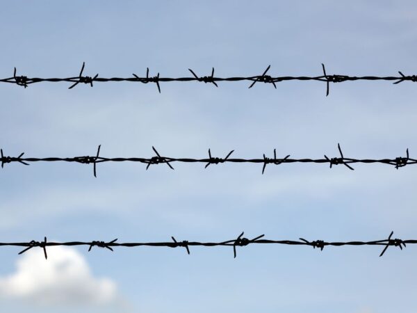 Exploring the Intrigues of Barbed Fences - Srilakshmiwirenetting