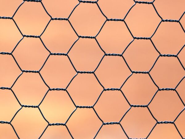 The Newest Hexagon Fence Designs Will Boost Your Outdoor Area ...
