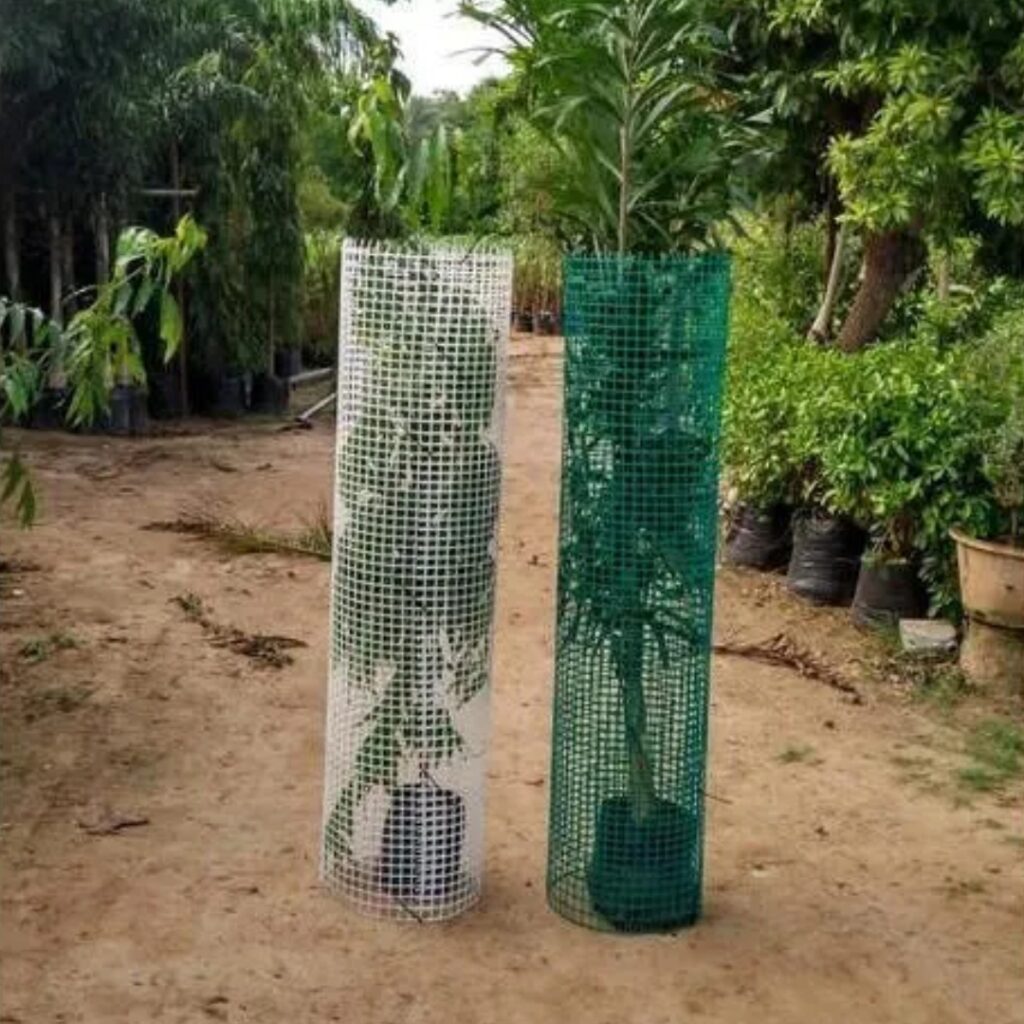Tree Guards - Srilakshmiwirenetting